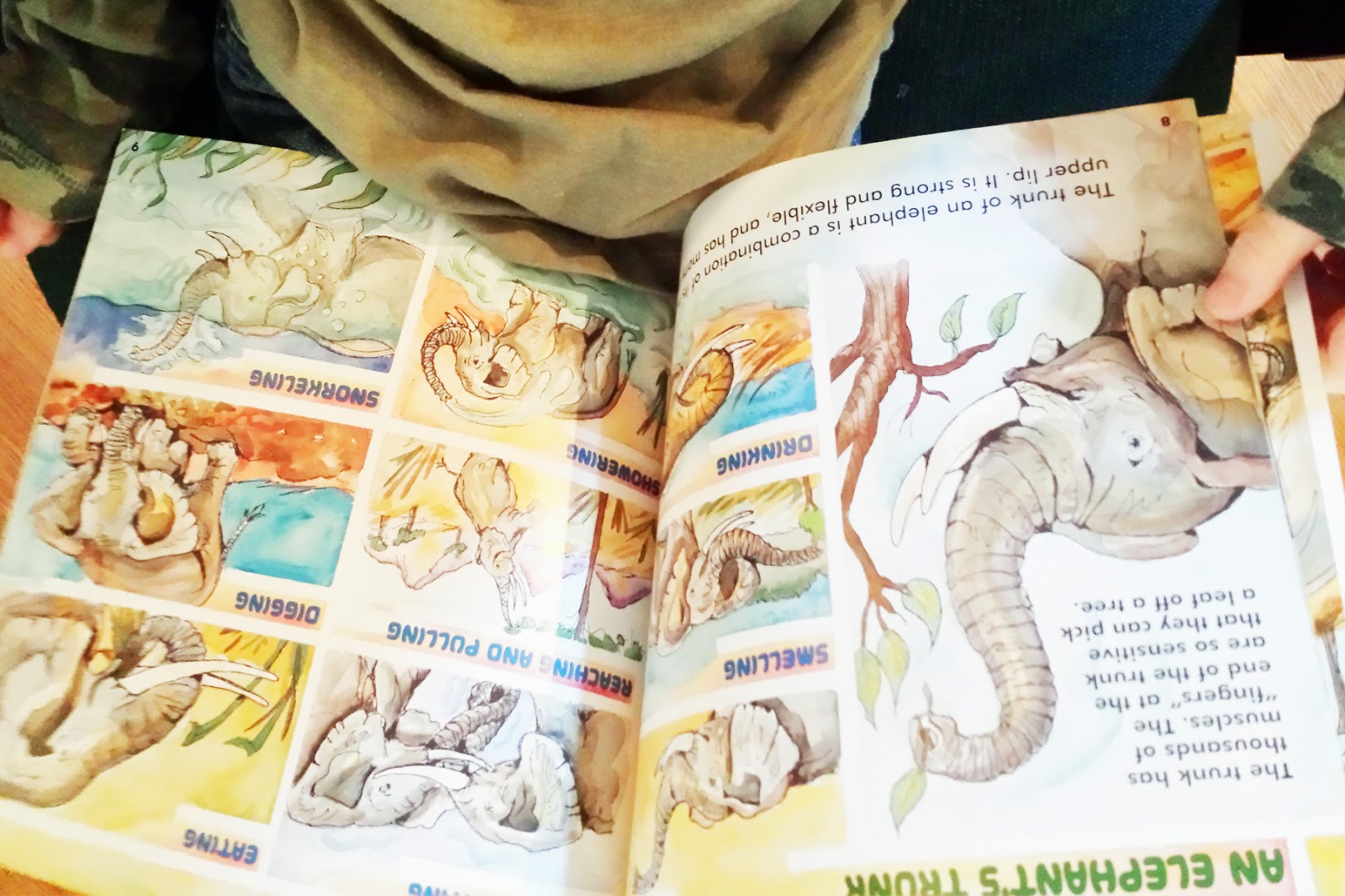 Create Learn Explore: Donors Choose Project Completed