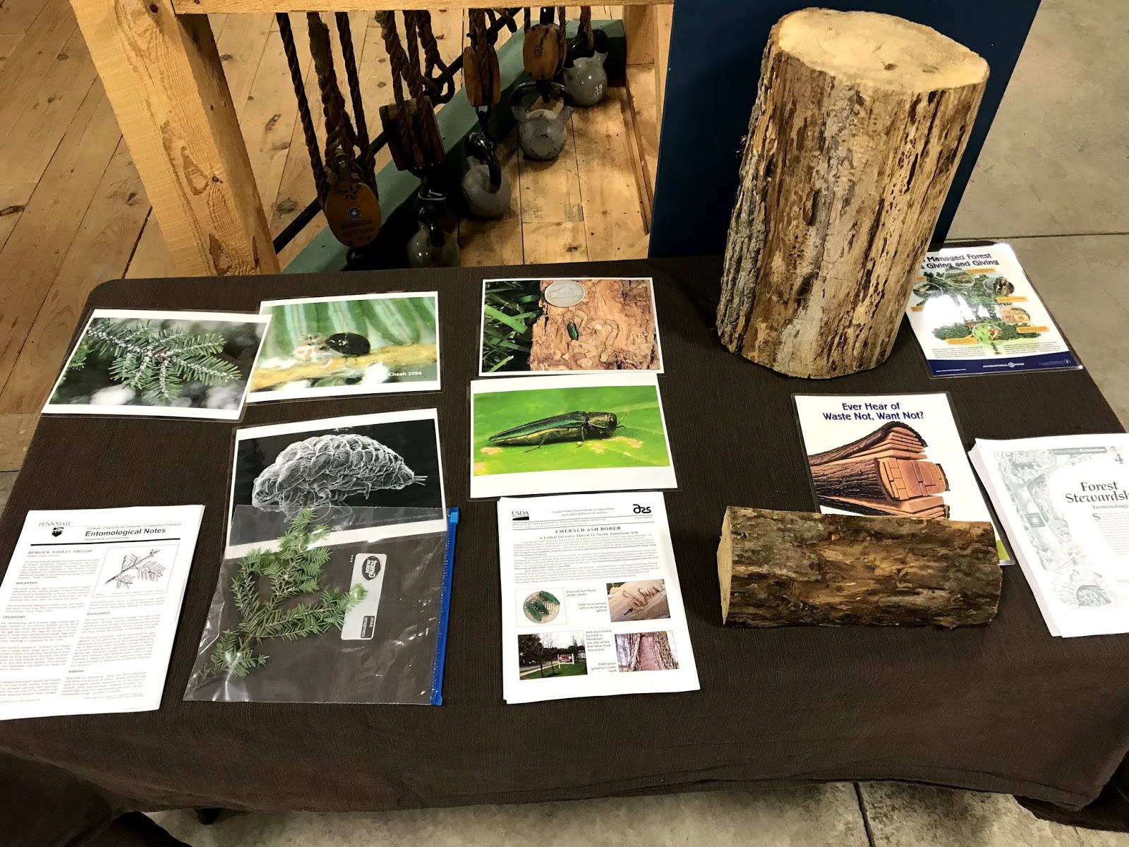 Pennsylvania Timber Show