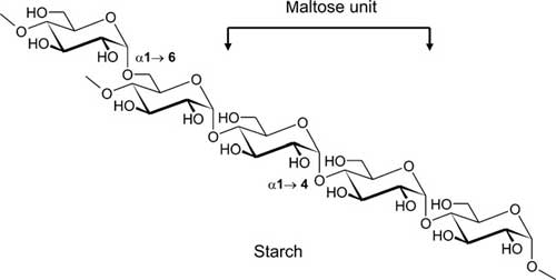 Irritable Bowel Syndrome Case File