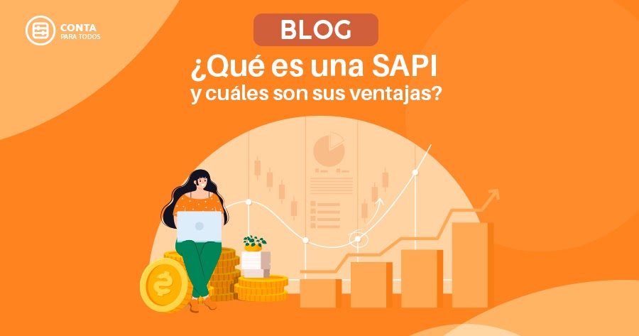 ¿Qué es una SAPI y cuáles son sus ventajas?