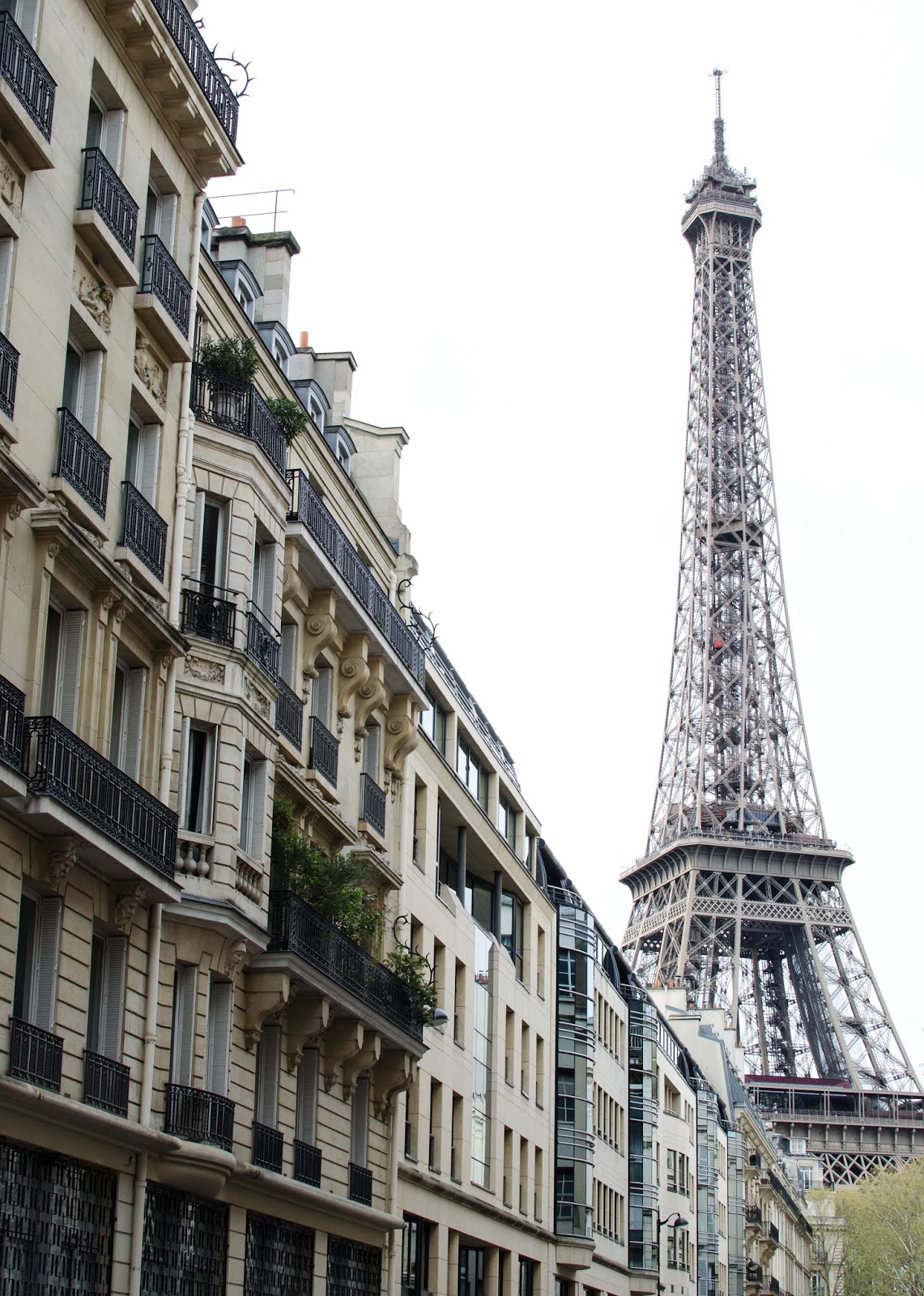 The Daily Distraction: Paris!