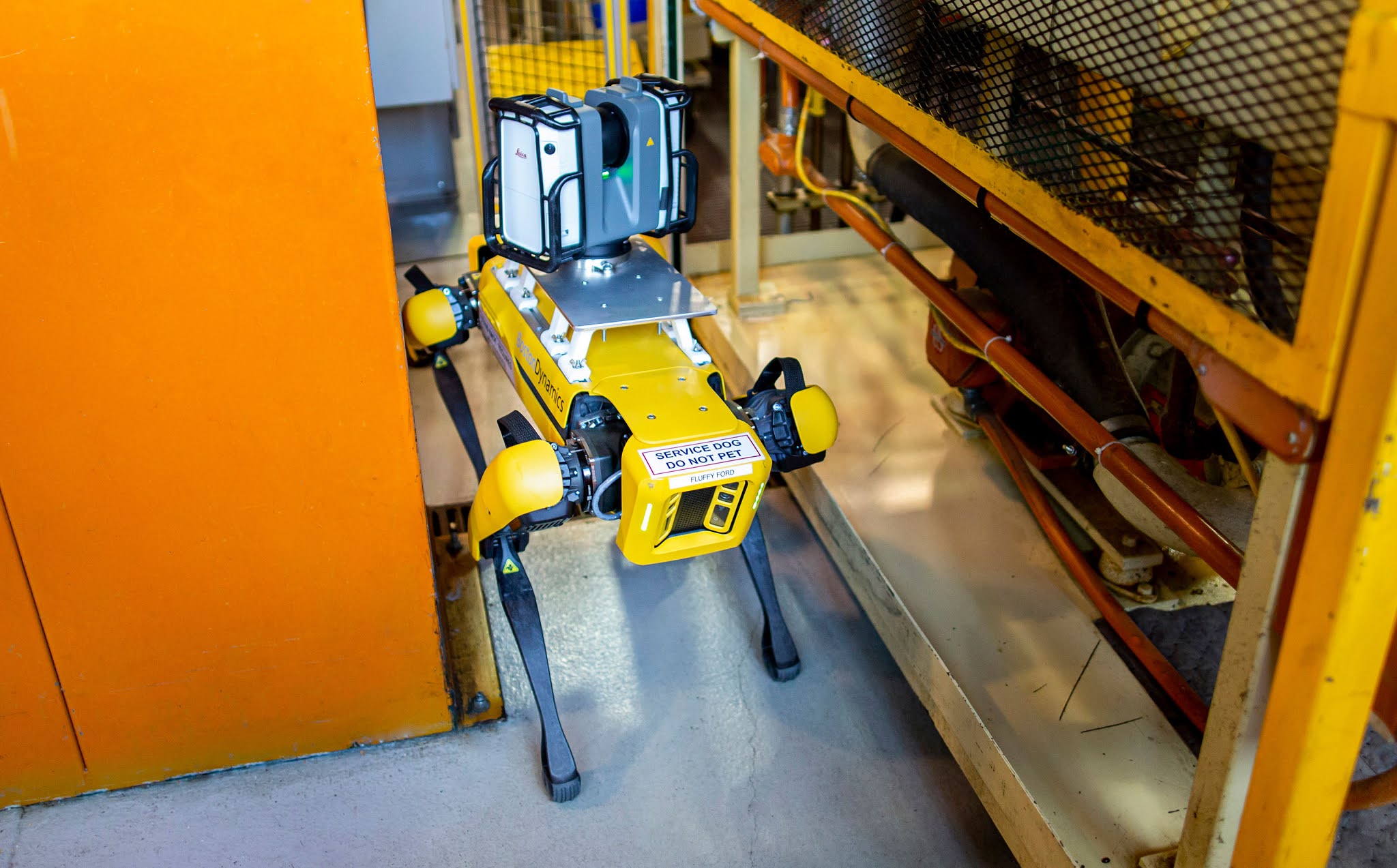 Experiments With 4 Legged Robots