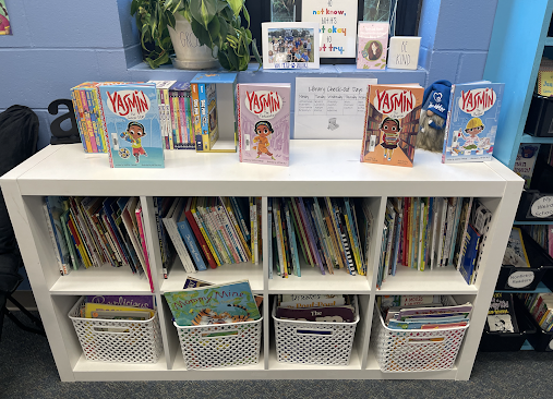 The Library Voice: Bringing Together Print and eBooks In A Very Special ...