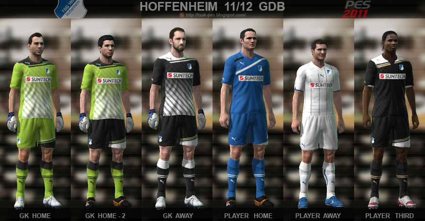 Txak PES Blog: Hoffenheim 11/12 GDB
