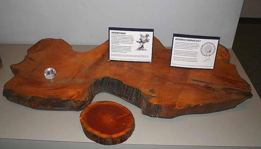 EBL: Prometheus Bristlecone Pine RIP Fifty Years Ago: August 6, 1964