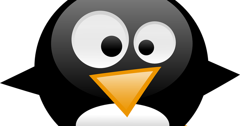 Programing Wonders C Program For Fork In Linux 2523