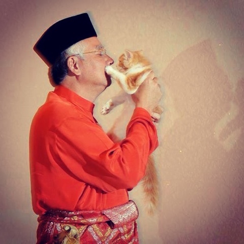 National Hug Your Cat Day Today