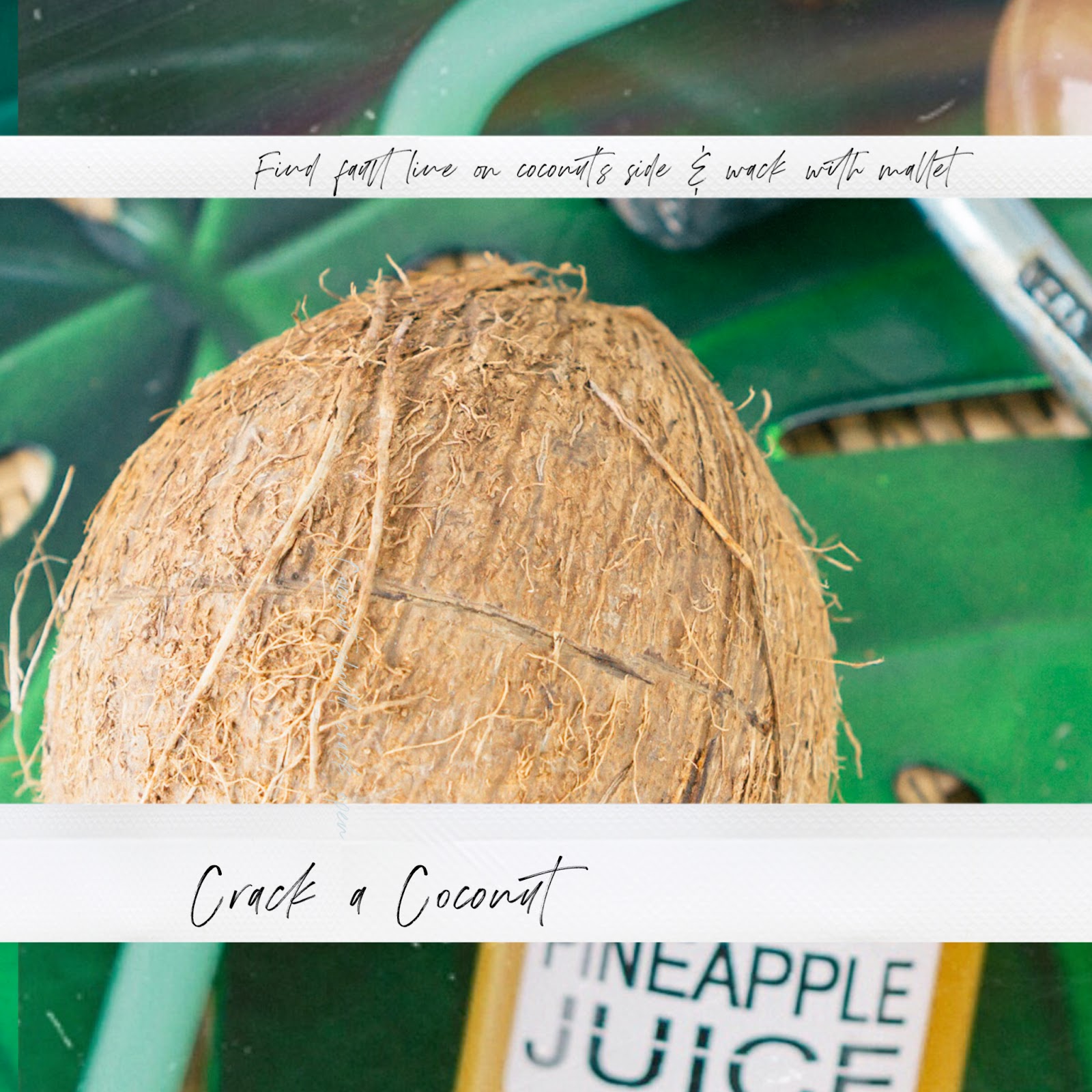 Summer Recipes: How-to-Crack-a-Coconut — The Yellow Spectacles