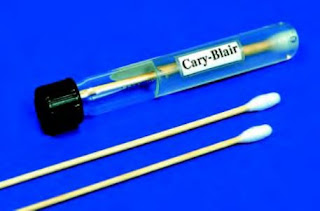 Blog do Daniel: MEIO DE CULTURA CARY BLAIR