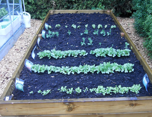 Patchwork-blomsten: Endnu en pause :o(