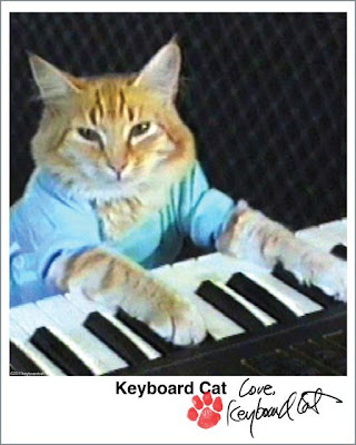 Catsparella: Pawtographed Keyboard Cat Pics Hit The Auction Block