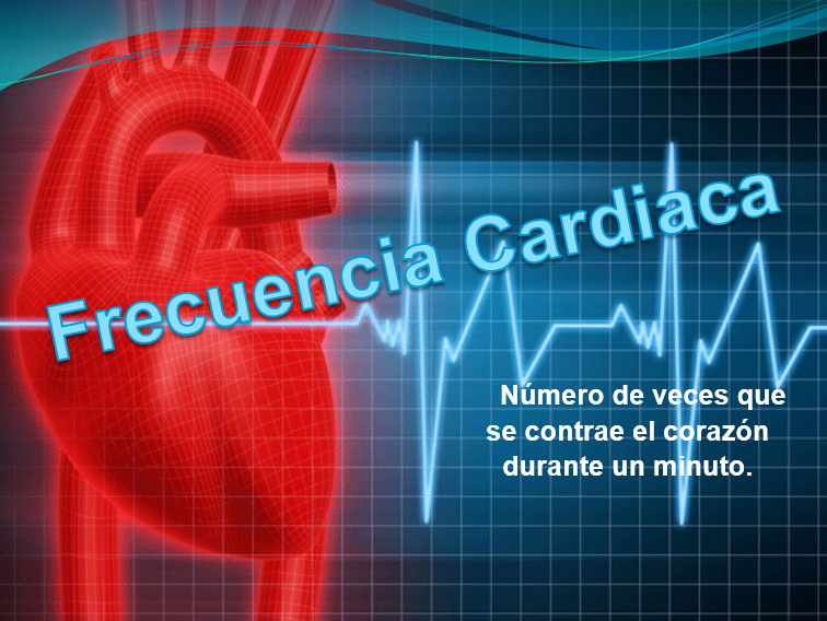 Frecuencia Cardiaca ( RESUMEN CON DIAPOSITIVAS)