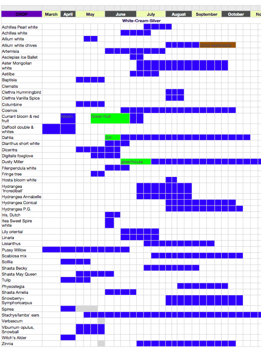 Notes and News from Shady Grove Gardens: White, Cream, Silver Flowers ...