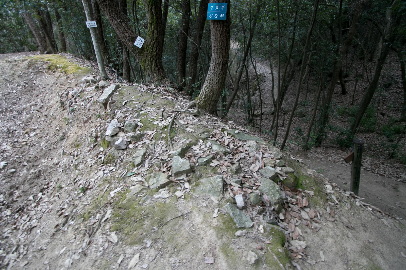 Niitakayama Castle -Intellectual pillar of Mouri clan (2)- | Japan ...