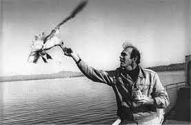 "Galeb Jonathan Livingston" - Richard Bach