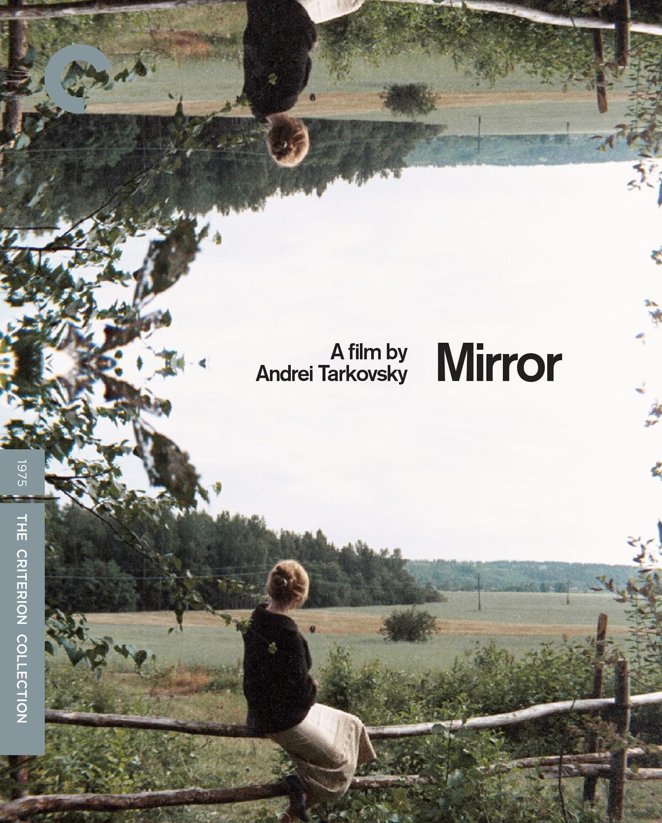 DVDBlu Review: Mirror