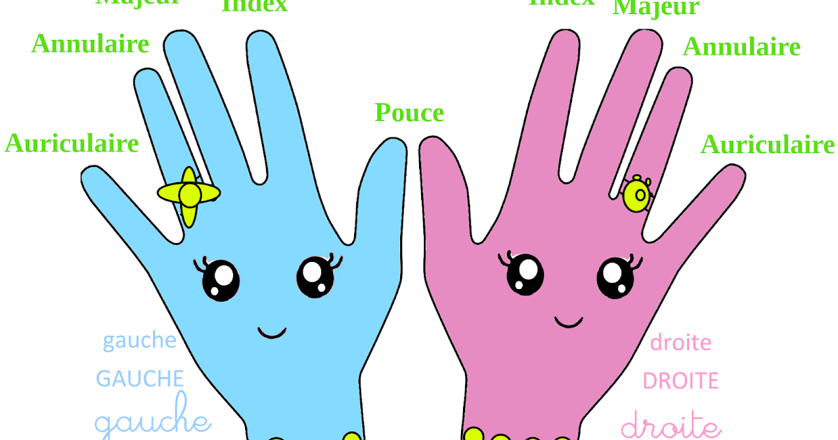 Main Droite ou main gauche