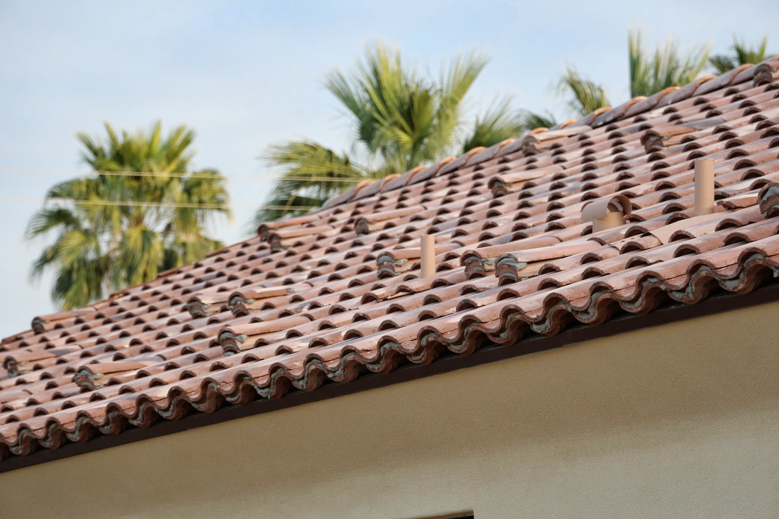 Dusty Coyote: Roof and Garage Doors are Finished
