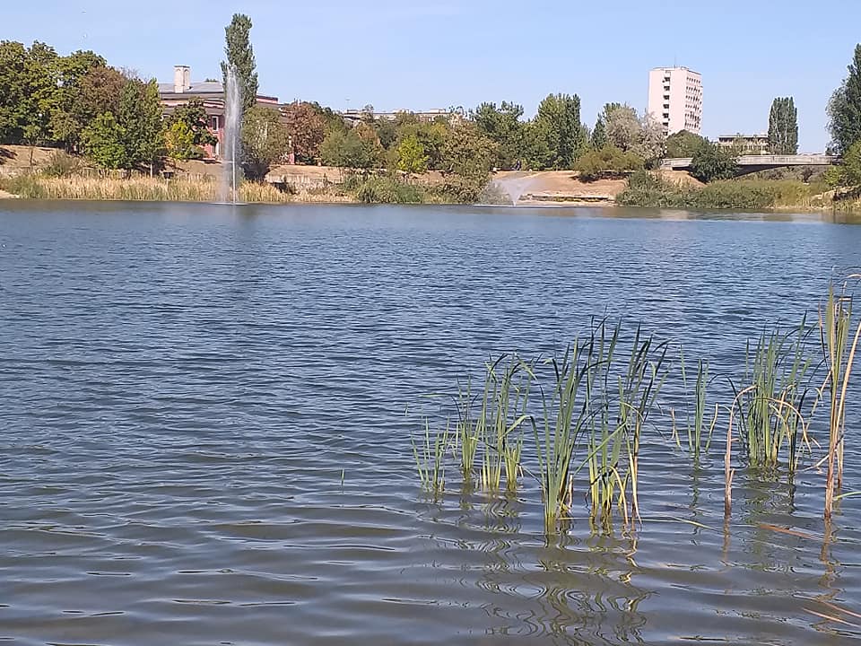 Езерото в "Дружба" 1 (ФОТОГАЛЕРИЯ)