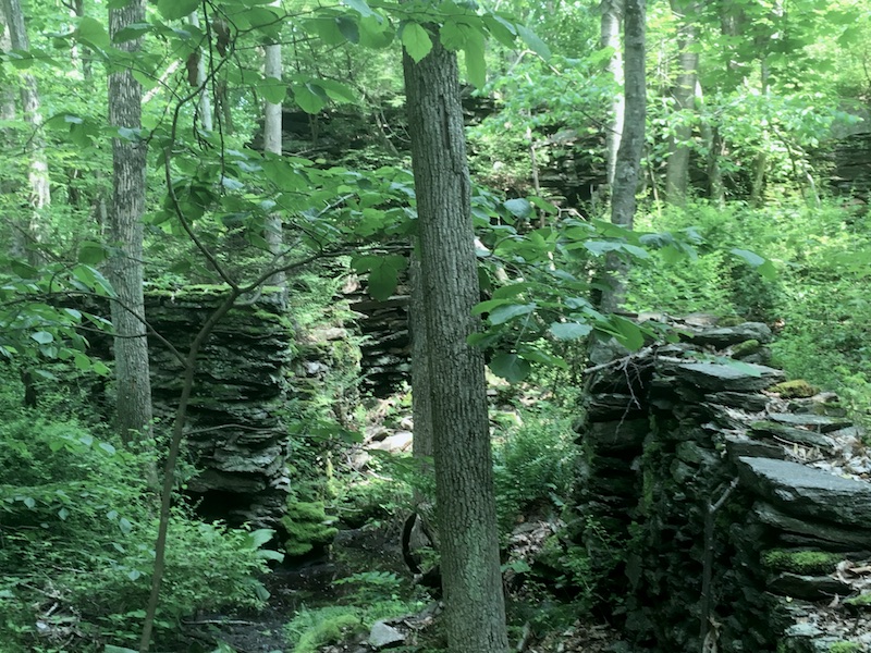 Mountain Biking and Hiking Pics - Rich Coffey: 2019 Trails Day Hike ...