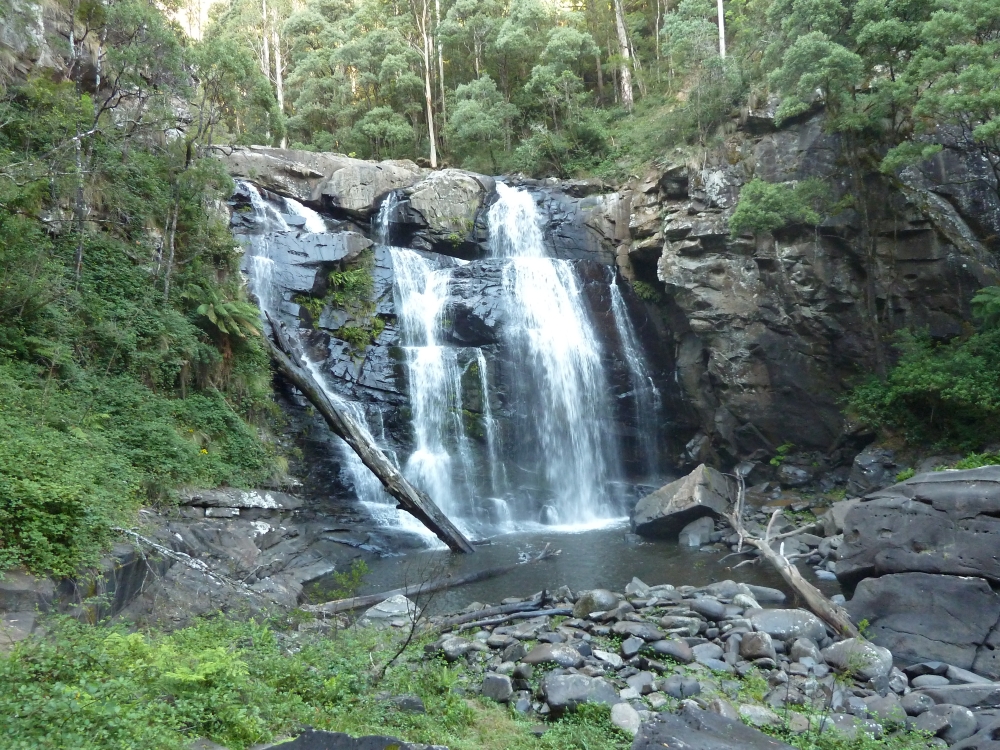 Back To Nature:: Stevenson Falls - Otways NP - VIC