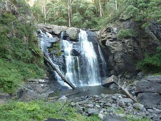 Back To Nature:: Stevenson Falls - Otways NP - VIC