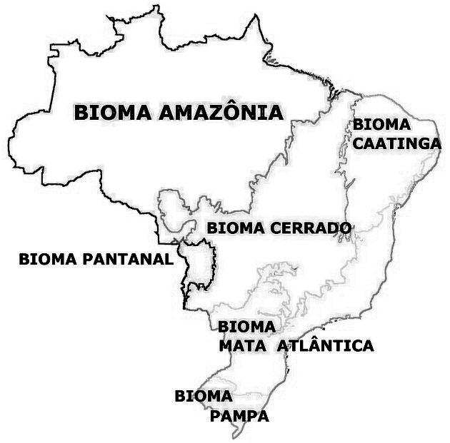 Blog de Geografia: Mapa de Biomas do Brasil - Desenho para Imprimir e ...