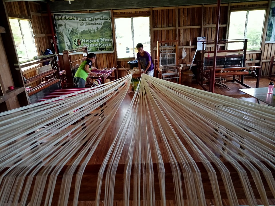 Weaving Through Negros