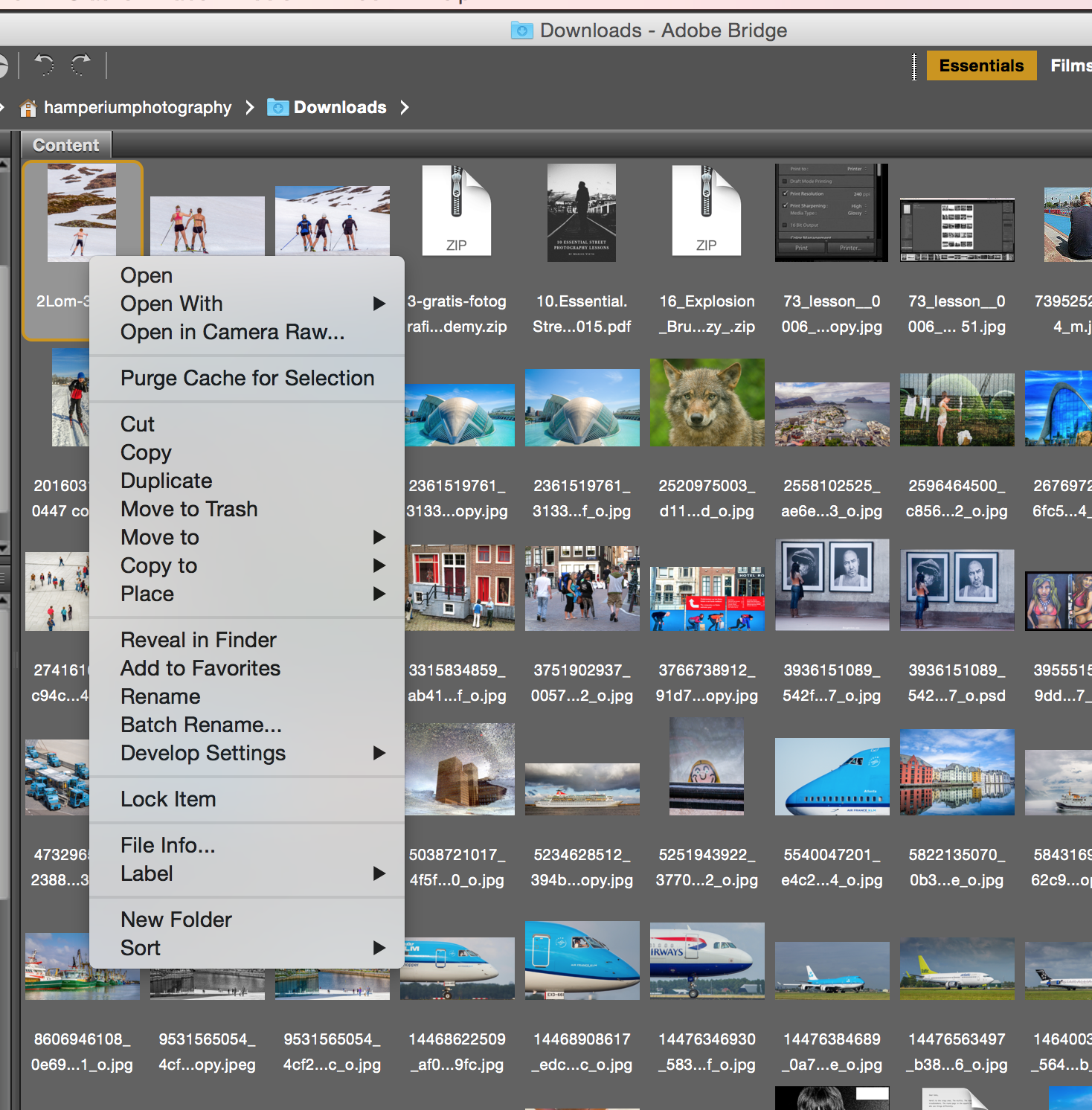 Hamperium Photography & Communication: How to add metadata in Adobe Bridge