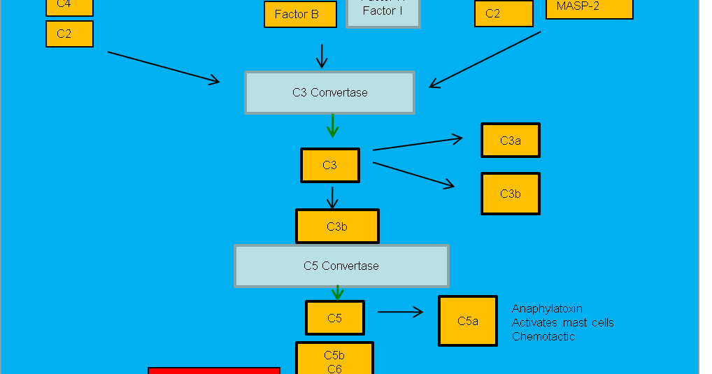 Free Biotechnology Notes