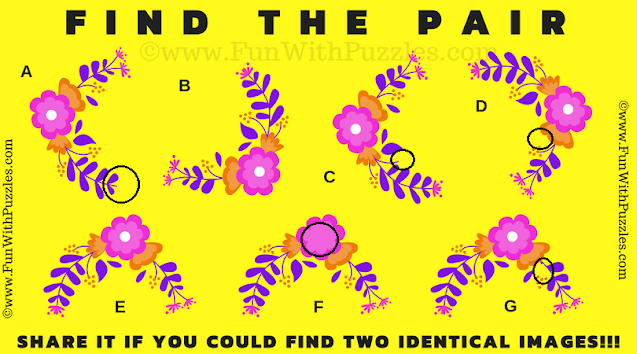 Visual Puzzle Challenge: Find the Matching Pairs!