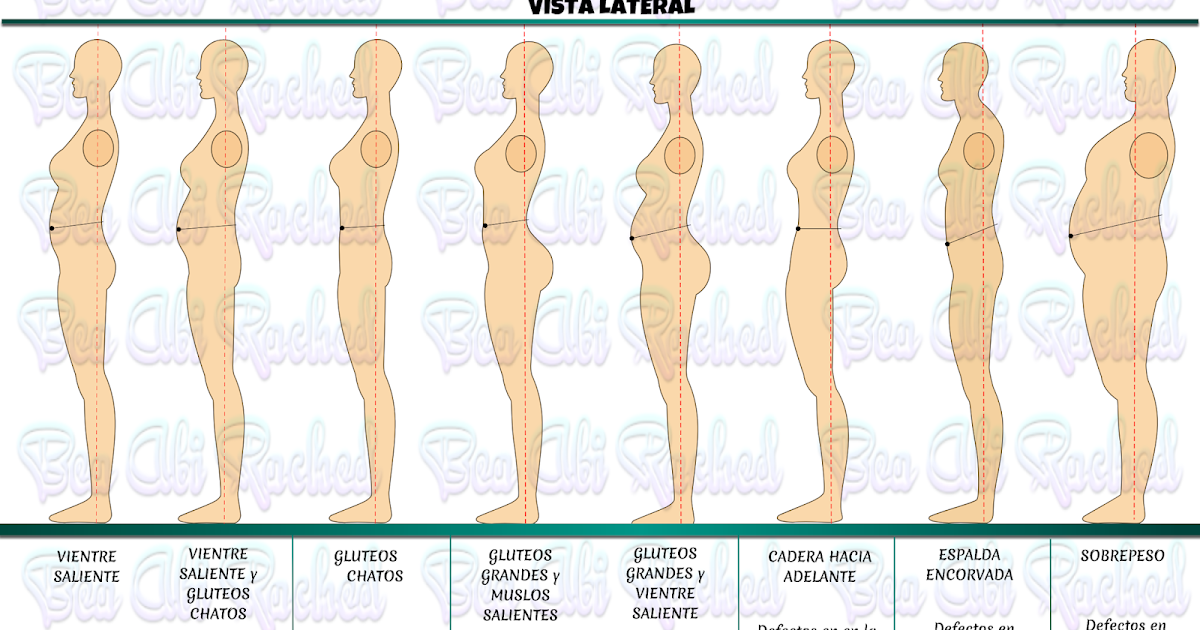 MORFOLOGIA Y POSTURA - Vista lateral.