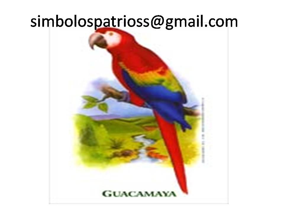Simbolos Patrios De Honduras: Ave Nacional De Honduras