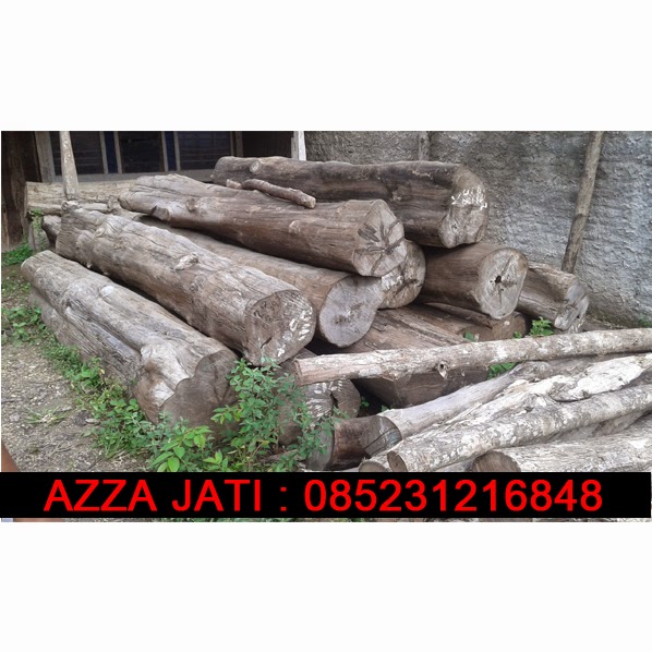 Baru 28+ Foto Kayu Jaati, Warna Keramik