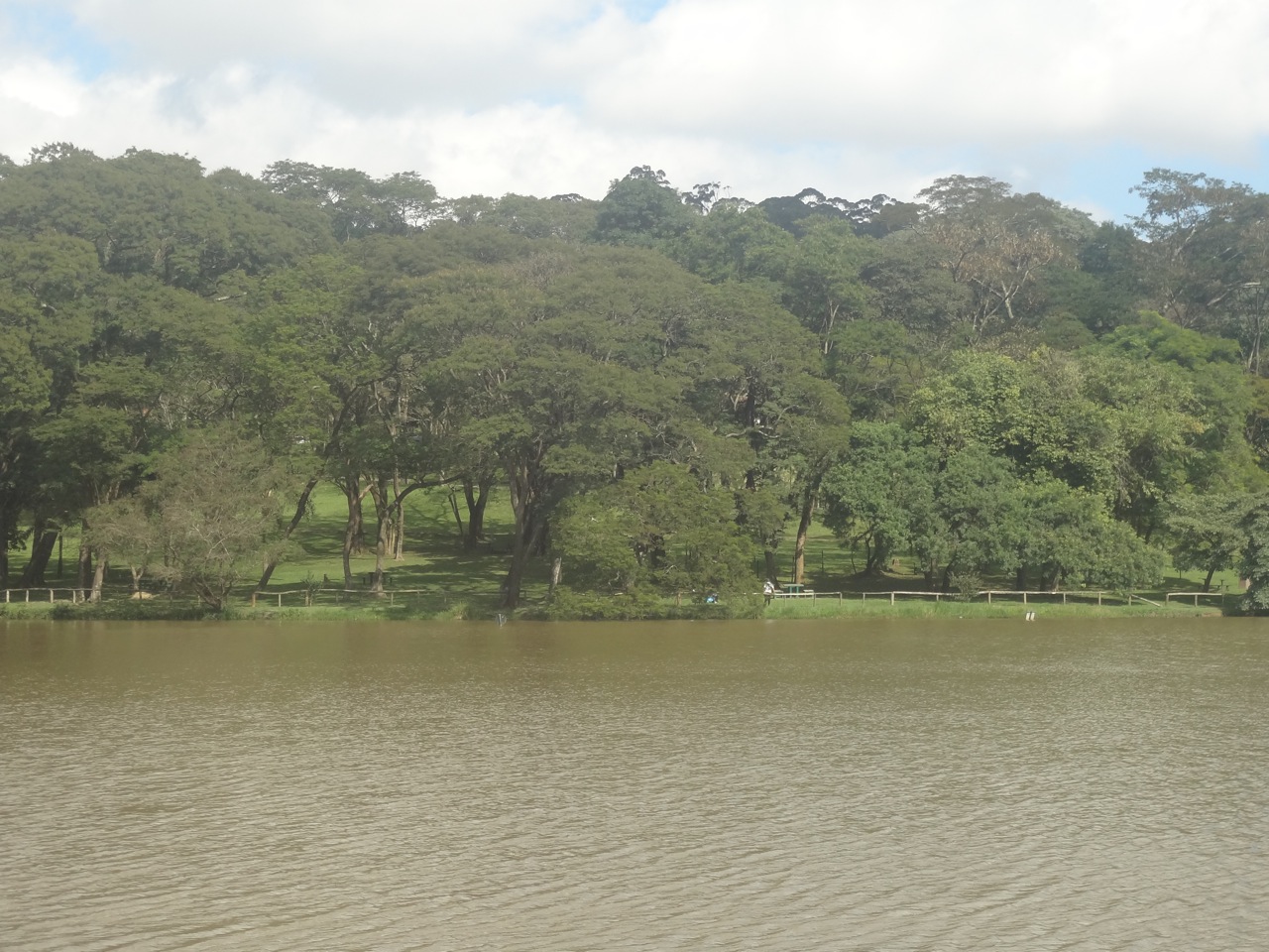 Parque do Carmo - Olavo Egydio Setúbal em São Paulo ~ Áreas Verdes das ...