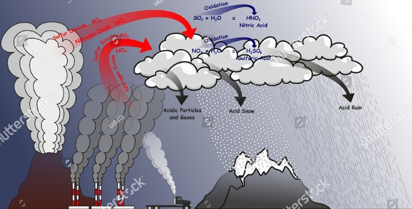 Environmental Pollution: Acid Rain | Acid Rain Definition | How is acid ...