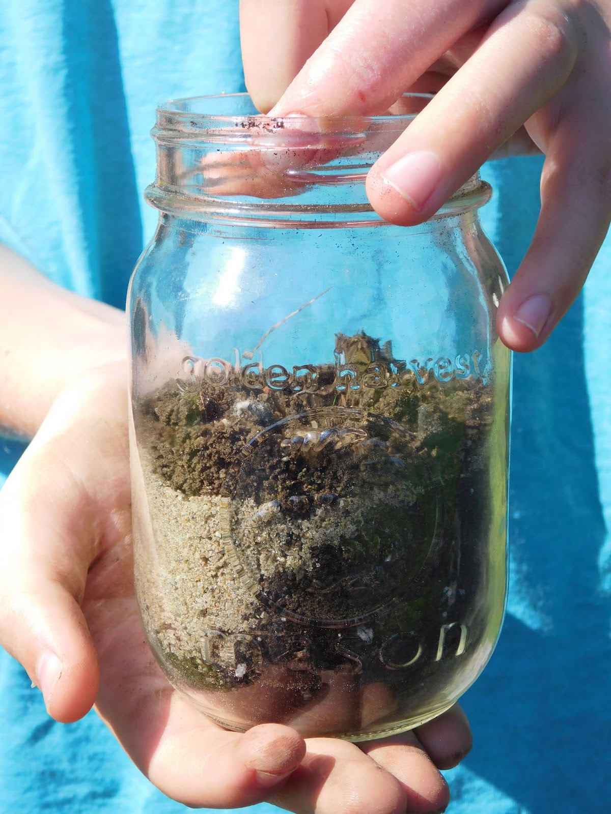 100 Days of Science #87-- Sediment Layer Jars