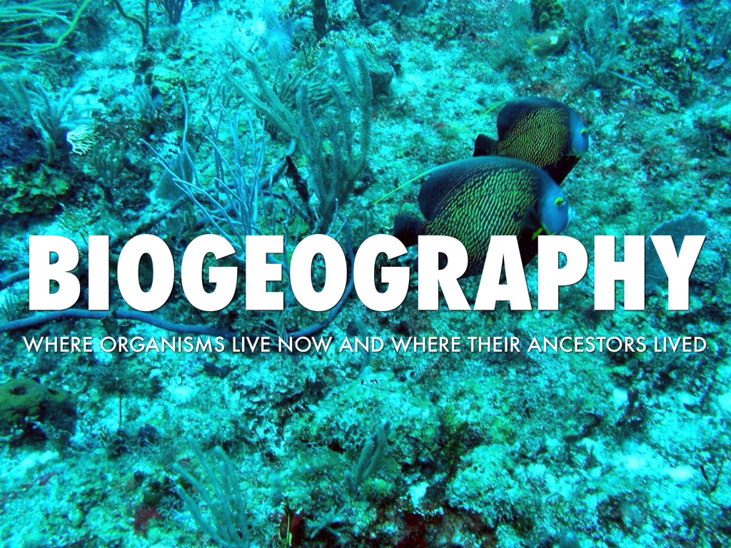 Bio-Geography for NET/SET (SET-2) - Geography for You