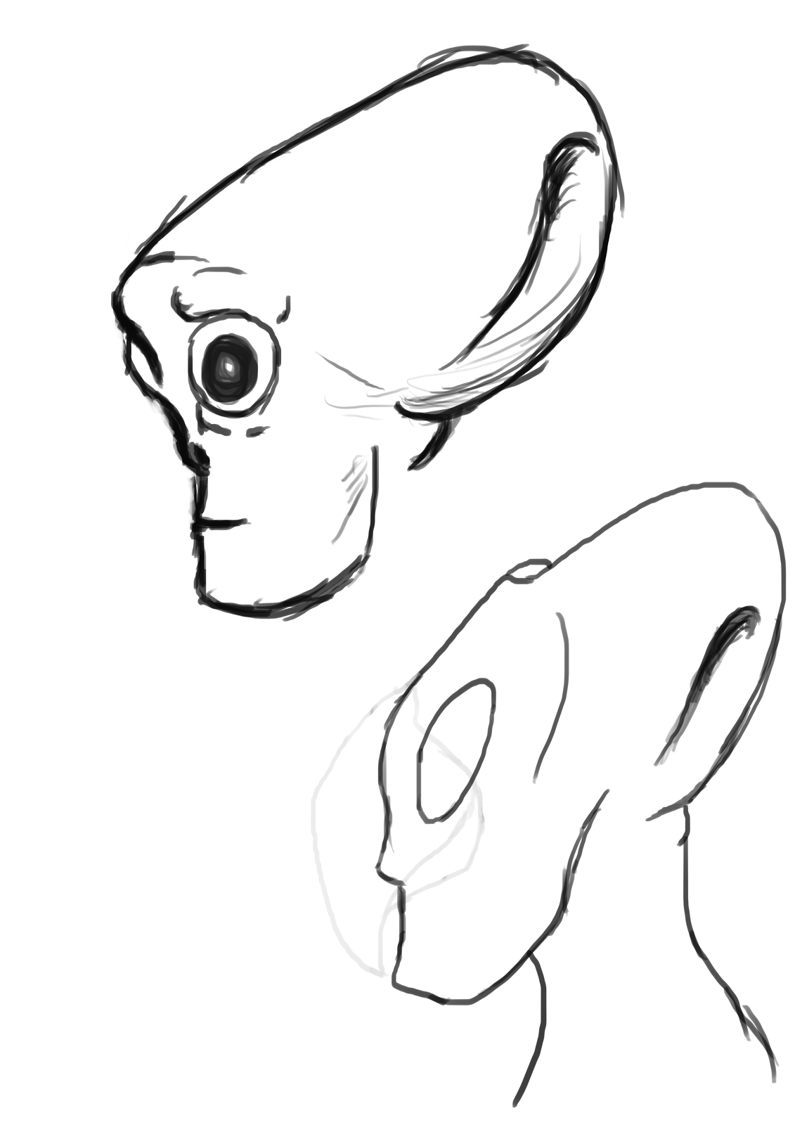 2D Anatomy Blog