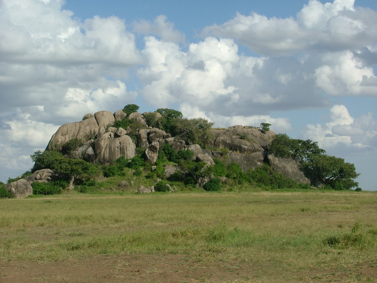 My African Safari in Tanzania and Kenya