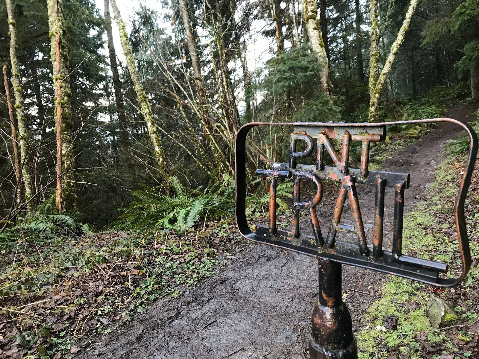 The Adventures of Bushwhack Jack: 2020-01-27 Washington State - Day 2 ...