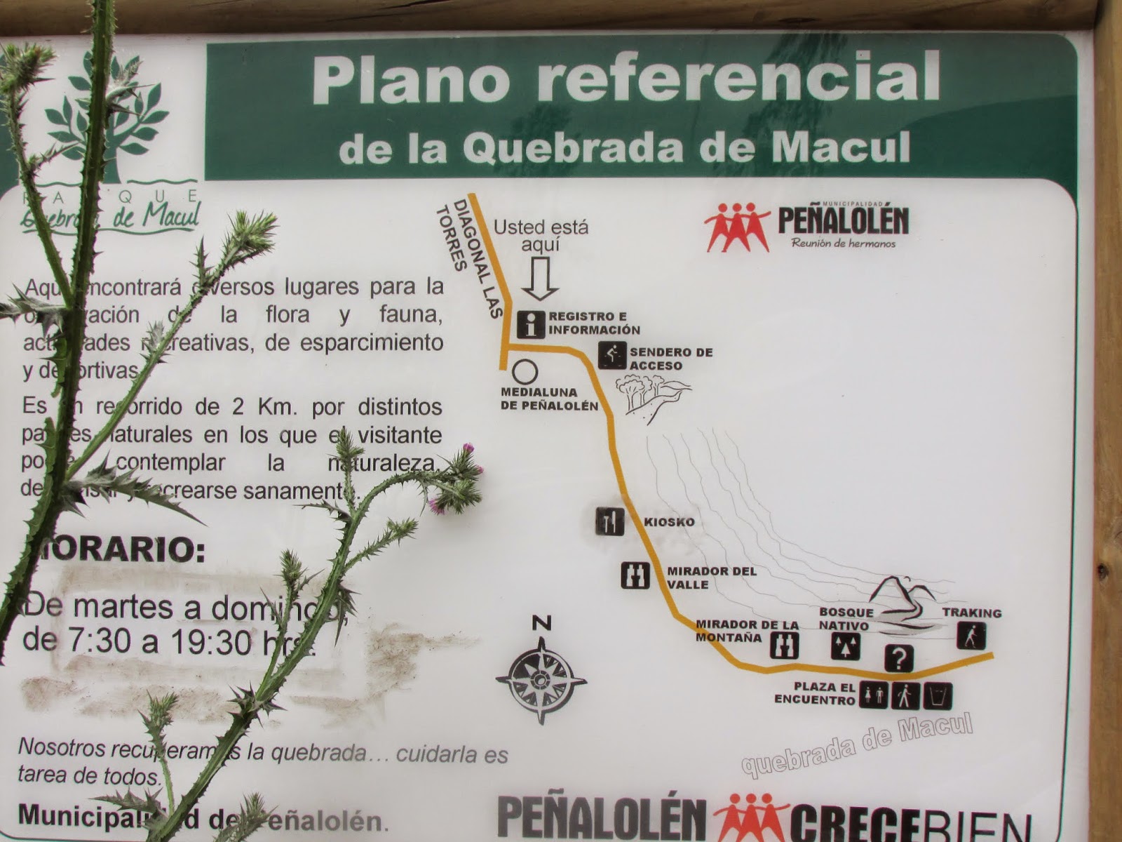 Caminando por Chile: Día 3