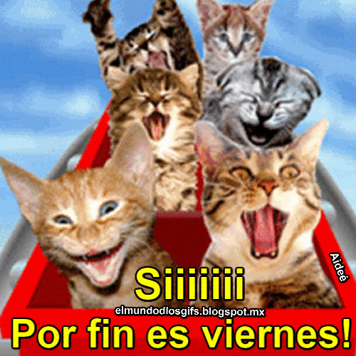 El Mundo de los Gifs: Por fin es viernes (ver más...)
