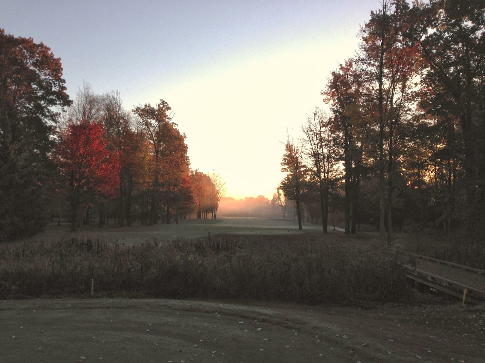 Yellow Dog Patrol: The Beauty of Fall Golf