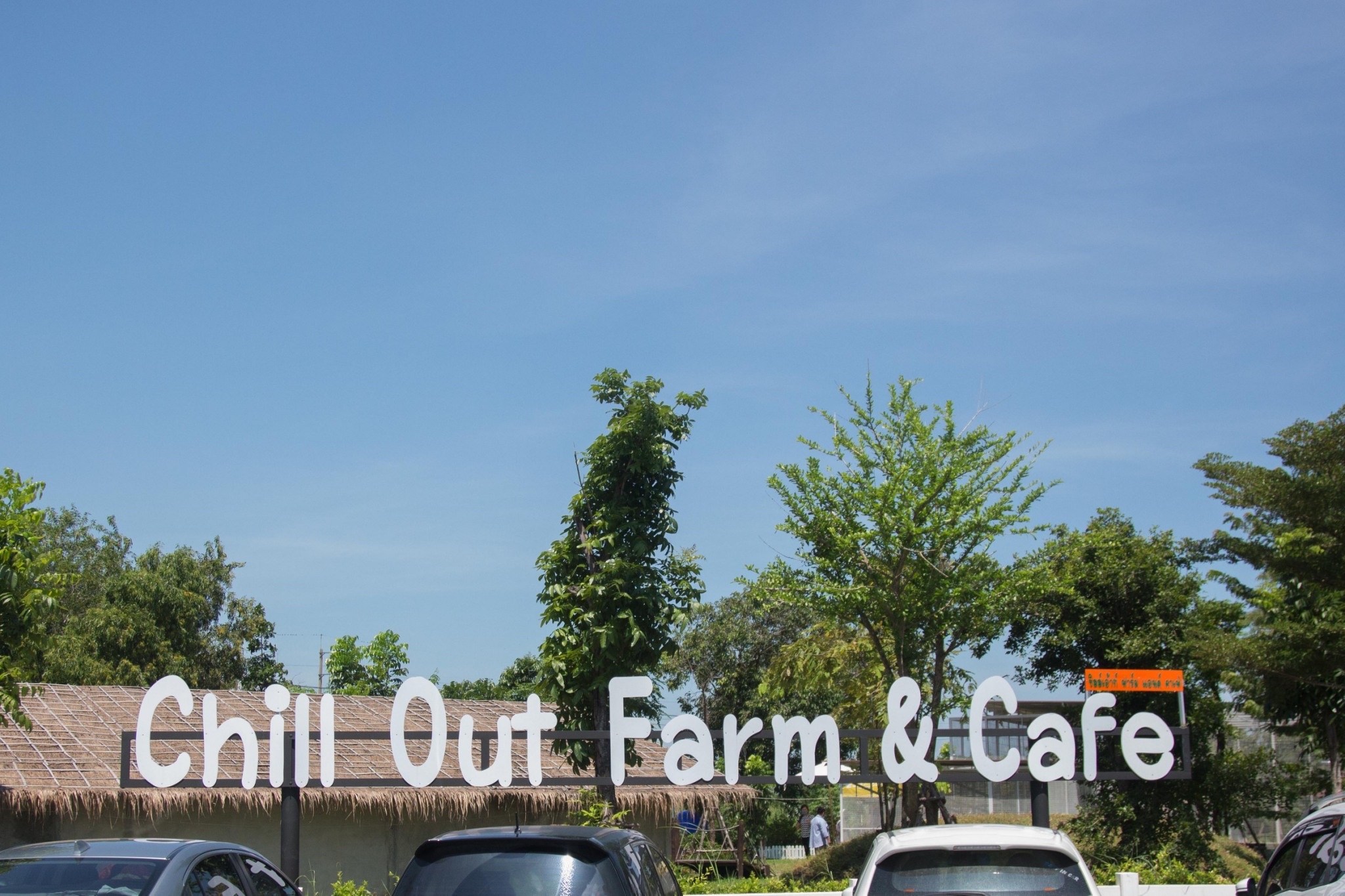 Chill out : Farm & Cafe