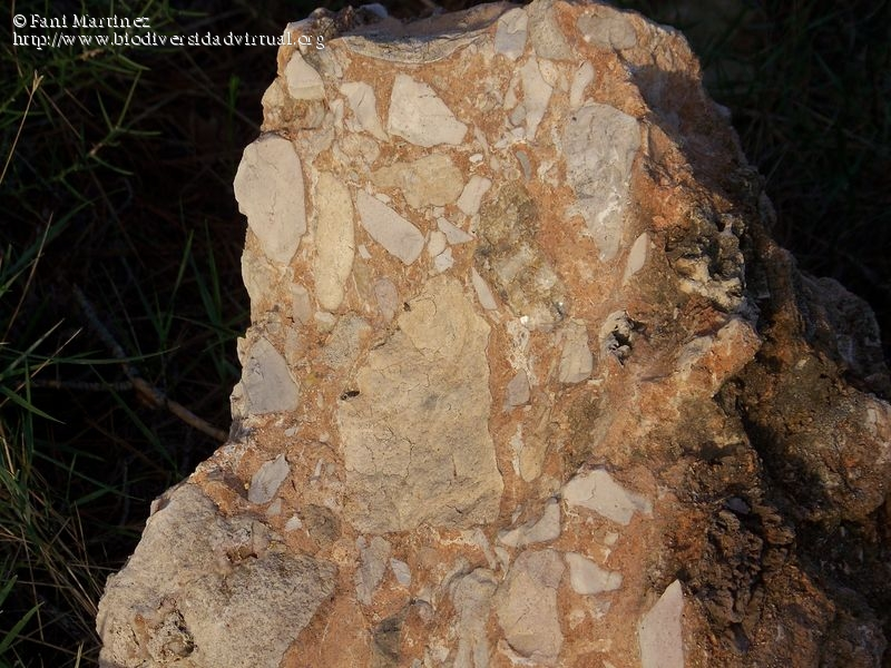 Geología: ACTIVIDADES CON ROCAS