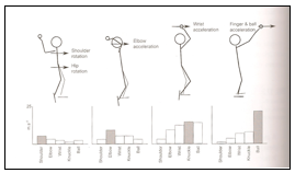 Netball Passes: The Biomechanical Principles: How can a netball player ...