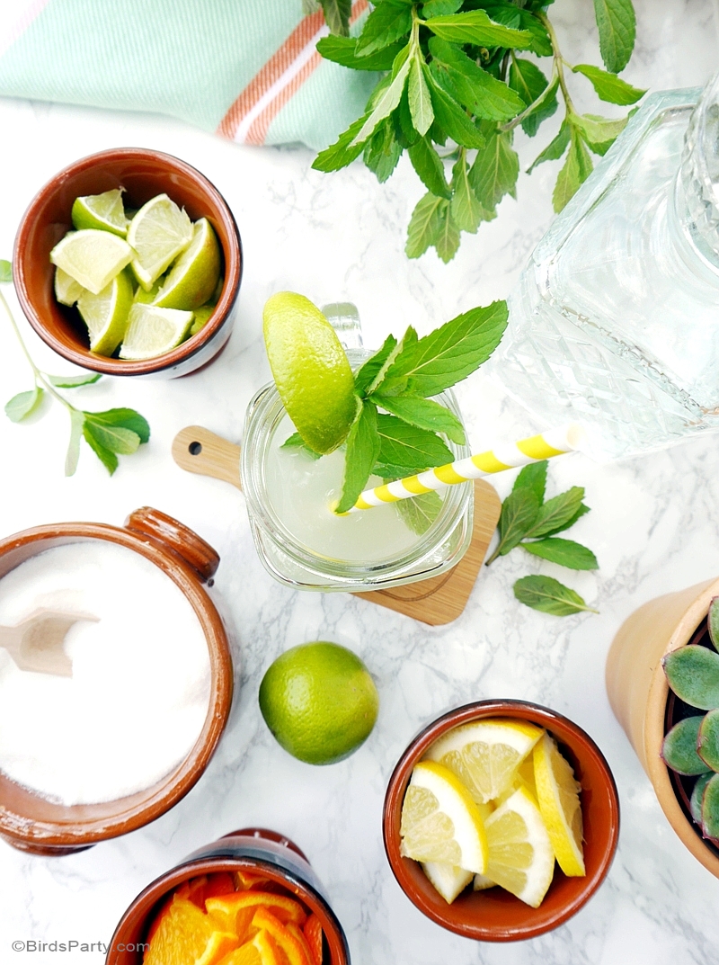 A DIY Mojito Bar with Recipe & Free Printables - Party Ideas | Party ...