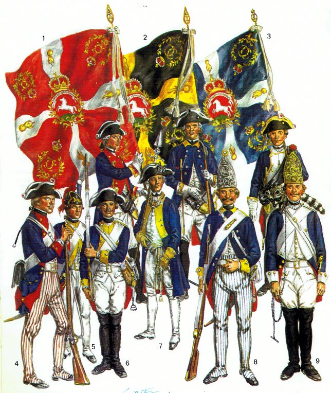 Flintlock and tomahawk: Brunswick contingent in the Revolution