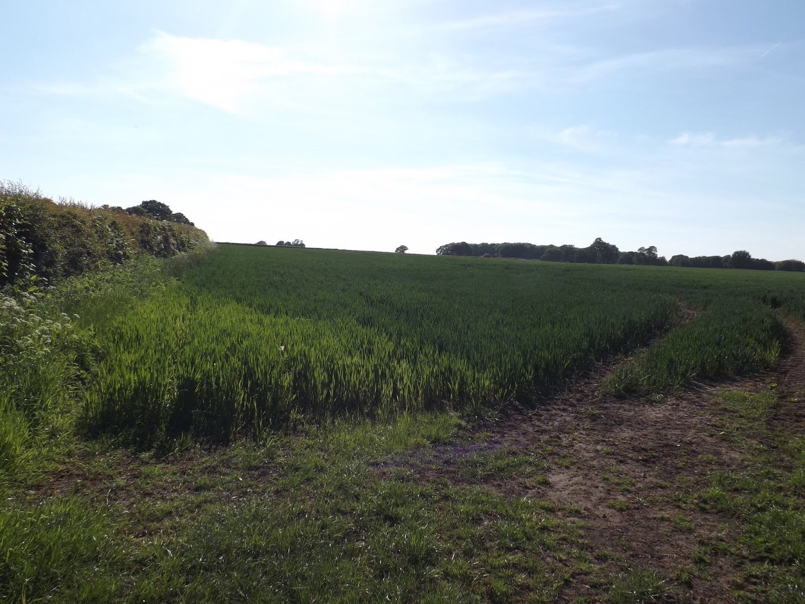 JJ's Wargames: Battle of Stoke Field, 16th June 1487